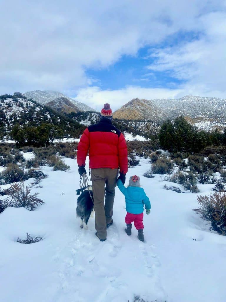 Festival celebrating region’s Grand Hogback Trails stomps its way to ...